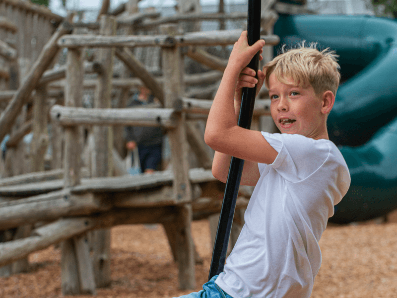 Knockhatch Adventure Park - Rye Guide