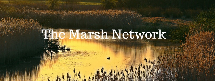 Marsh Network East Sussex and Kent Business Networking - Rye Guide